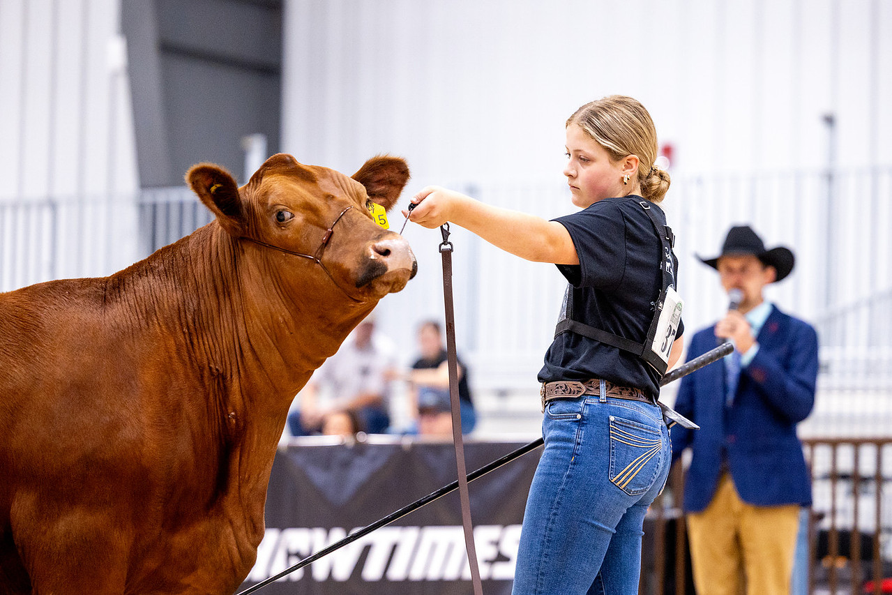 Adalyn Bullinger 2 | News, Sports, Jobs - Minot Daily News